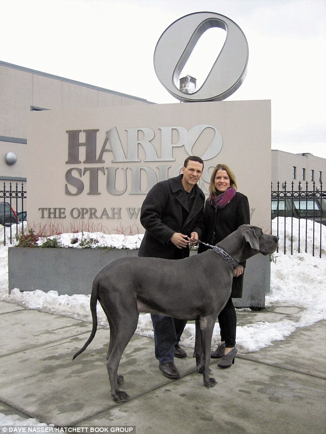 Giant George: The 7-Foot-Tall Great Dane Photos and New Book – Motley ...