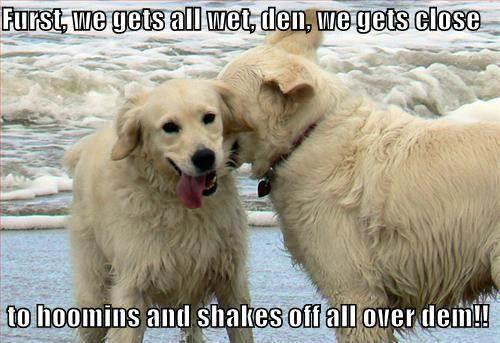 The Sunday Funnies | July 22, 2012 – Motley News