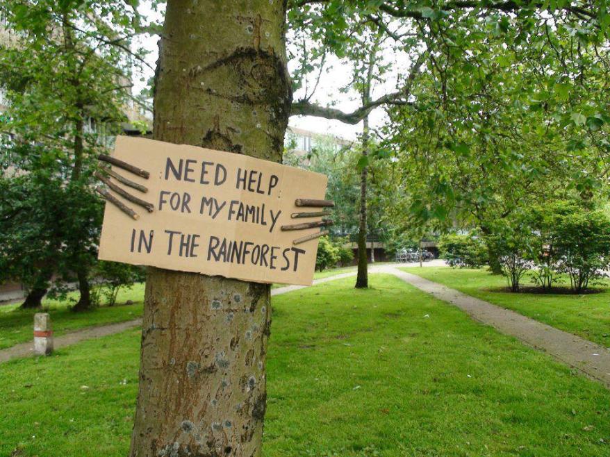 tree – Motley News, Photos and Fun